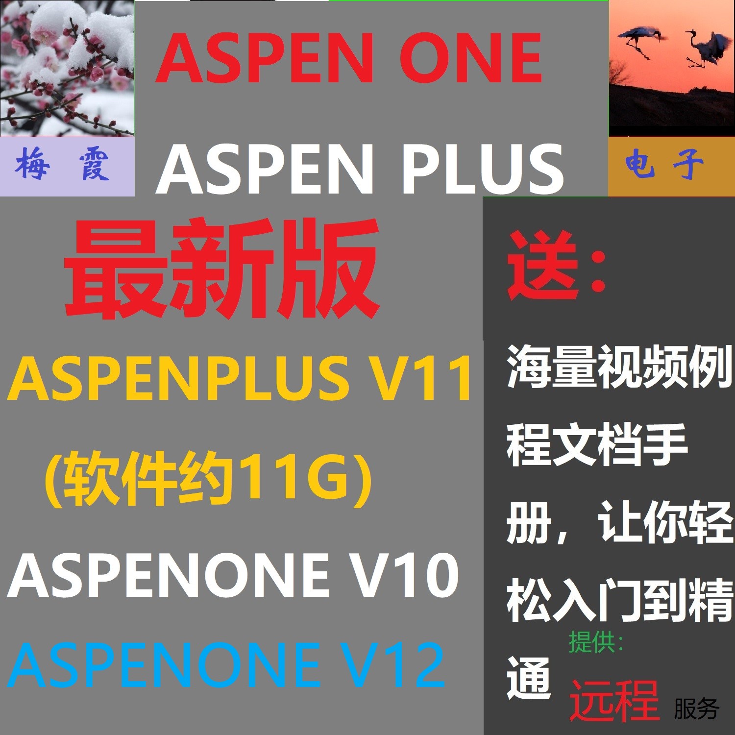 aspenone aspen plus hysys V12 中文版 英文版 远程安装 +资料