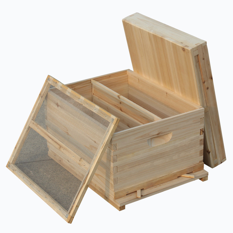 Ten-Frame Standard Bee Trap Bucket Bee Hive Complete Set - Big Brother ...