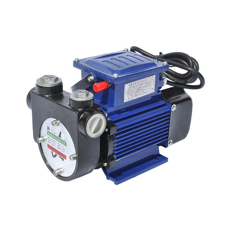 Oil Pump 220V Explosion-Proof Electric Small Oil Pump Pumps Gasoline ...