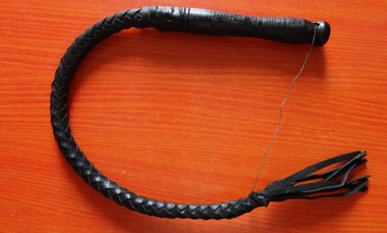 [USD 10.82] Horse Whip Horse Whip Cowhide Whip Ring Whip Fitness ...