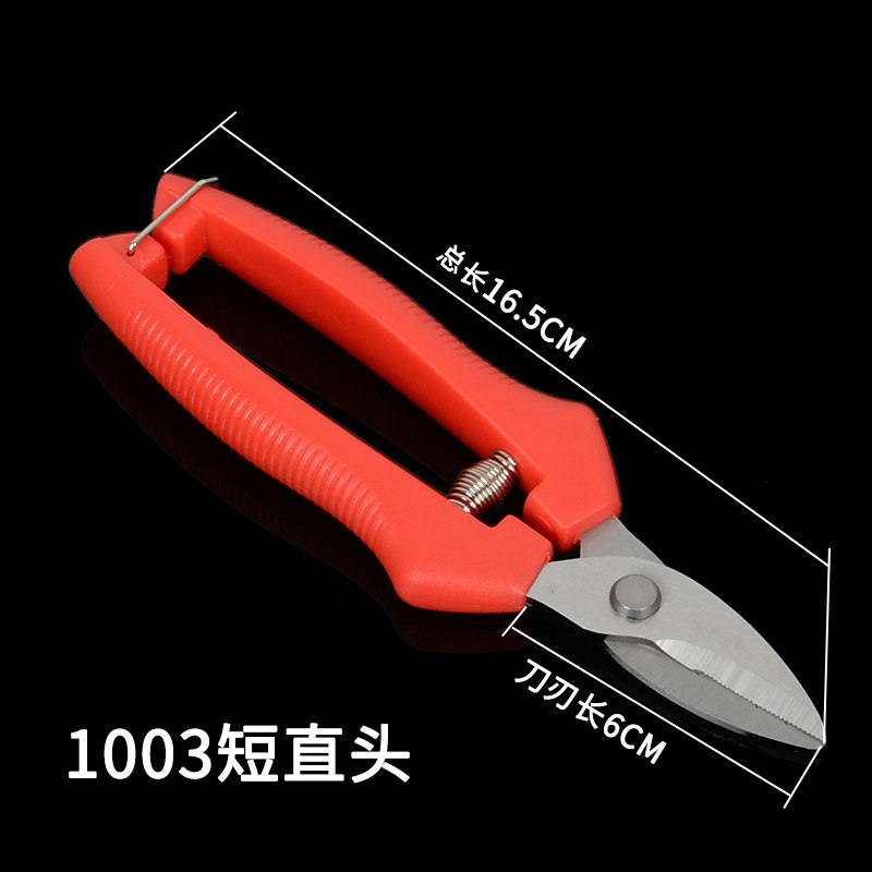 Buy Fruit harvesting cutting pick squat stainless steel scissors thin ...