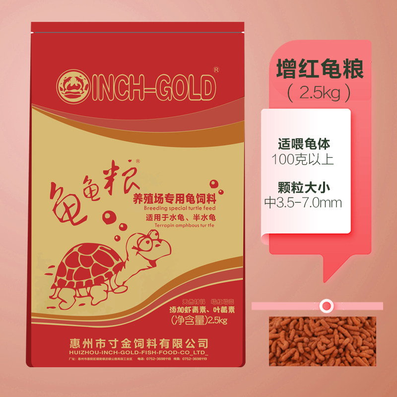 [USD 8.31] Golden Turtle Feed Turtle Feed Stone Money Turtle Feed ...