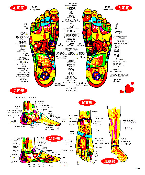 [USD 5.67] Foot Meridian Reflection Area Map Foot Meridian Point Wall ...