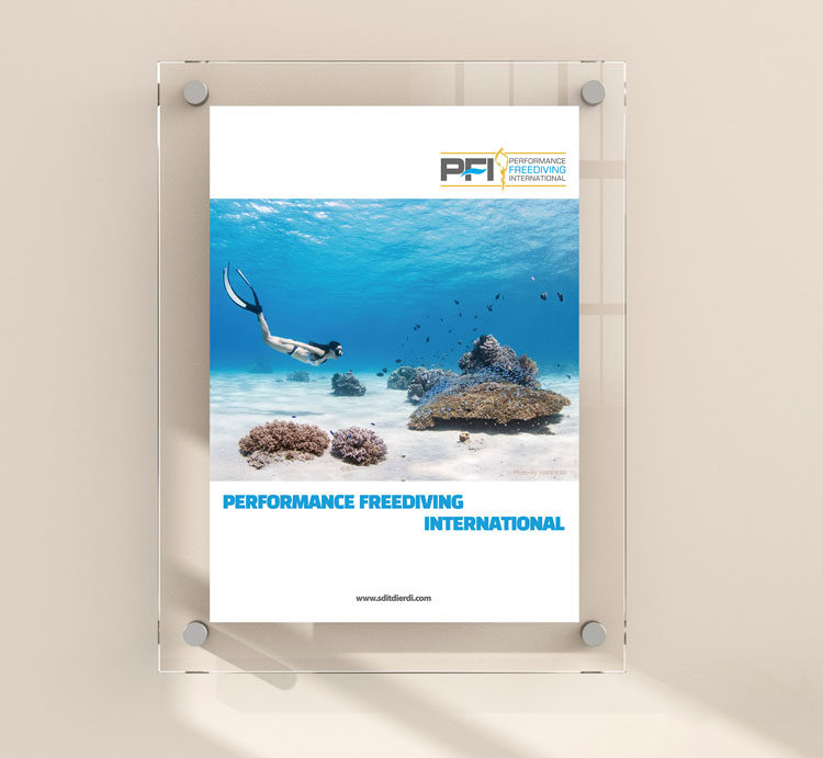 [USD 11.29] SDI TDI ERDI Diving Flag No Flagpole Diving Activity Sign ...