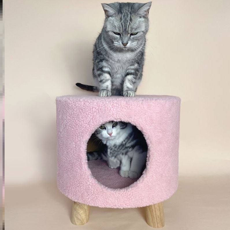 [USD 12.50] Stool Cat Footstool Shared Stool Cat Cat Stool Cat Generic ...