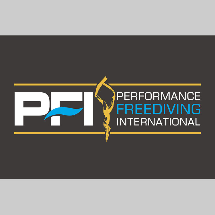 [USD 11.29] SDI TDI ERDI Diving Flag No Flagpole Diving Activity Sign ...