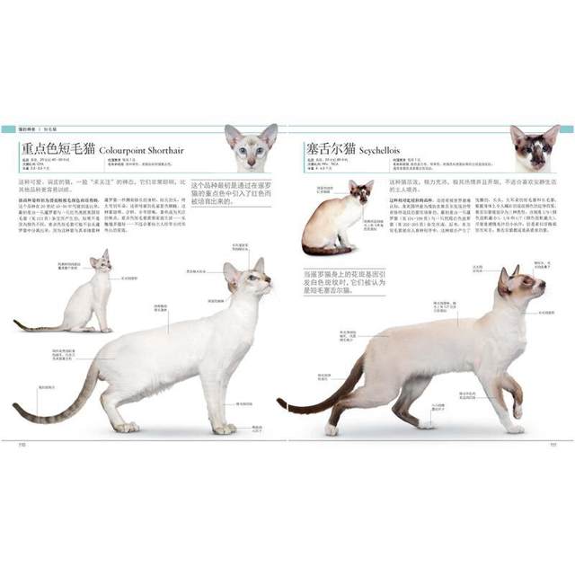 Dangdang.com DK cat encyclopedia genuine books