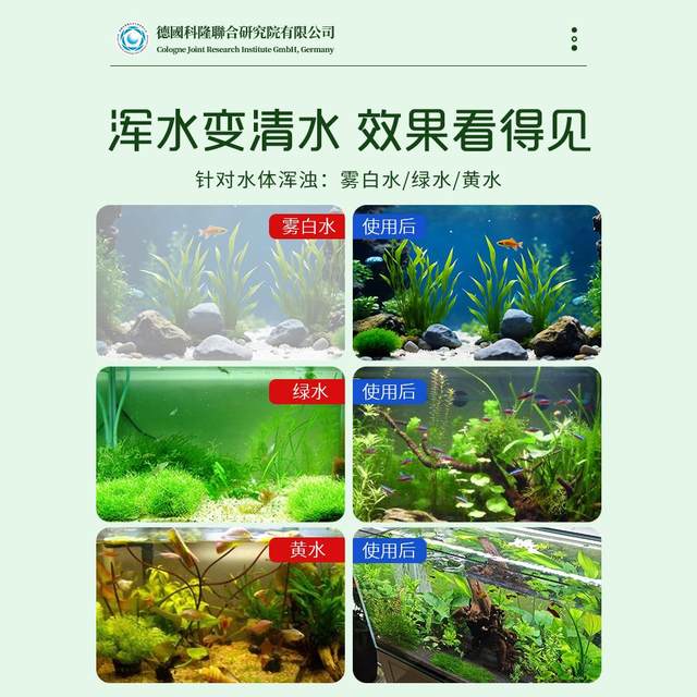 Water purification tablet polymer polymer Japanese develops deodorant ...