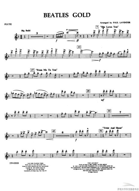 GY3078 (Level 3.0) The Beatles Selection (4 pieces) Beatles Gold Wind ...