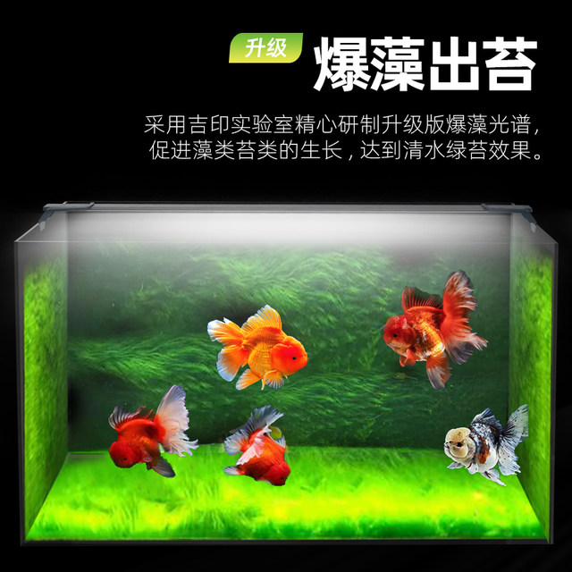 Jiyin goldfish lamp special algae bursting lamp fish tank lamp lighting ...
