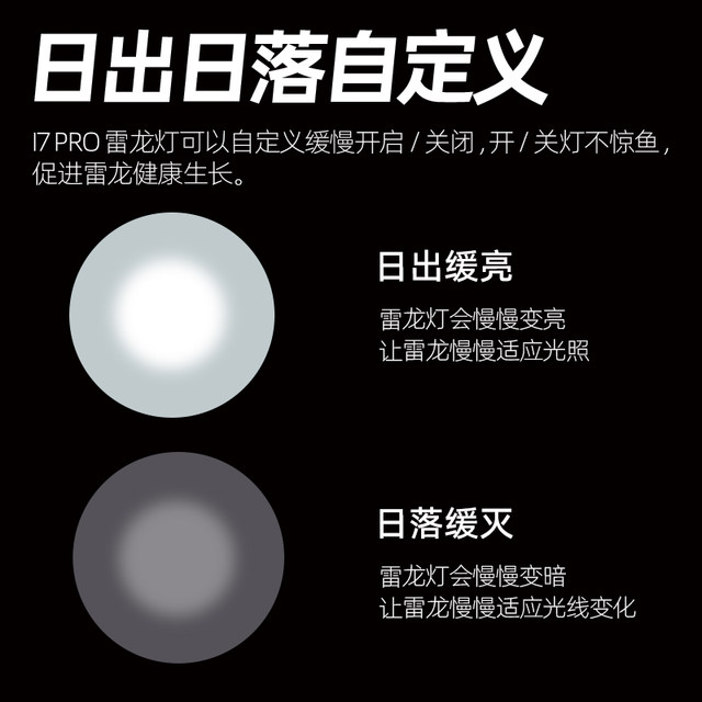 Jiyin i7pro Thunder Dragon Fish Special Light Professional Timing ...