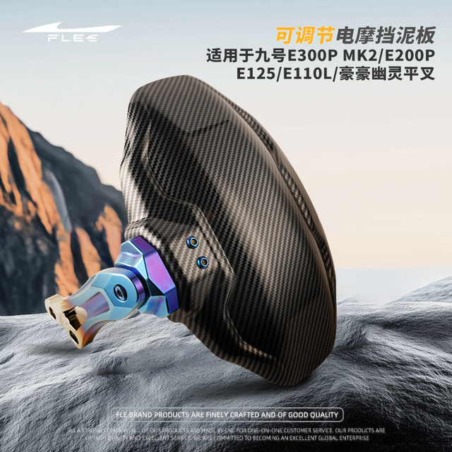 EX Nine E300P MK2/E200P/E125/E110L/Haohao Ghost/Nightingale/SMRT rear fender