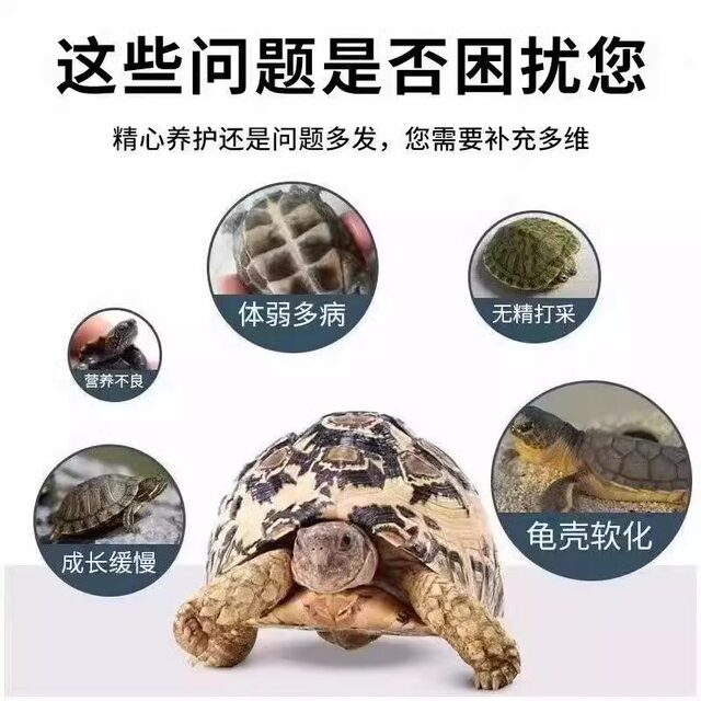 Tortoise electrolyte multi-dimensional electrolyte supplements ...