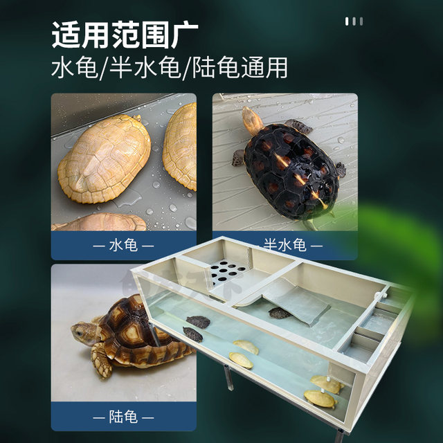 Egg turtle transparent turtle cylinder glass PP plastic turtle turtle ...