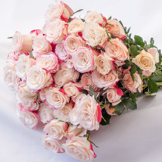 Multi-headed rose bubble flowers Yunnan base straight hair fresh-cut ...