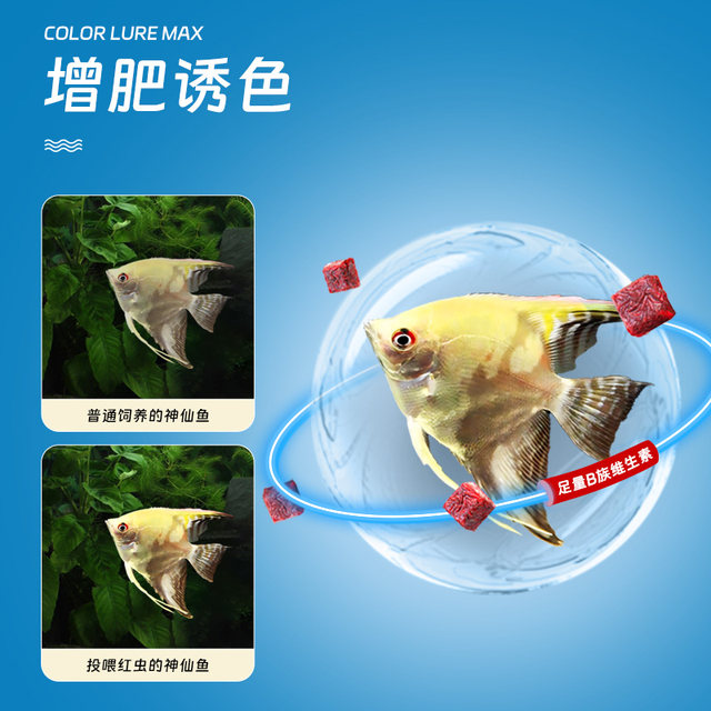 Red worms, frozen red nematodes, hexagonal dinosaur fish, feed for ...