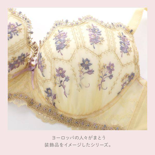 Risa Magli underwear women's push-up push-up retro embroidered lace ...