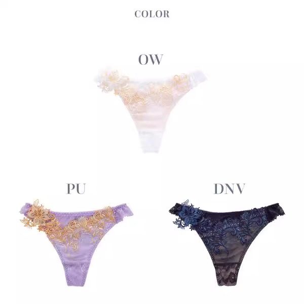 Shiluo Handuo TIAM underwear sexy pure desire transparent lace thin style breathable seamless ...