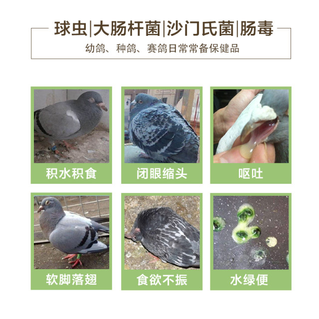 Hannover beer yeast powder for pigeons with live bacteria king ...