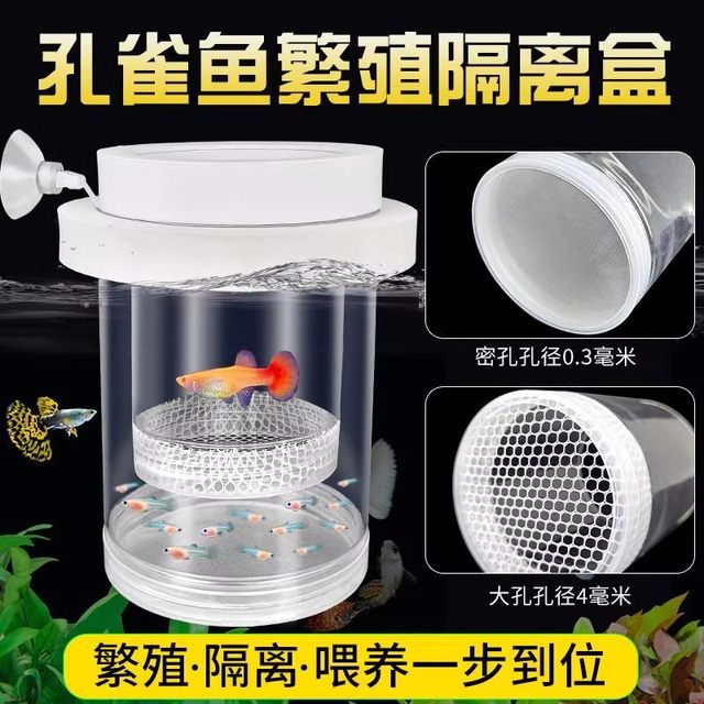 Incubation Box Peacock Fish Tank Breeding Isolation Box Small Fish ...