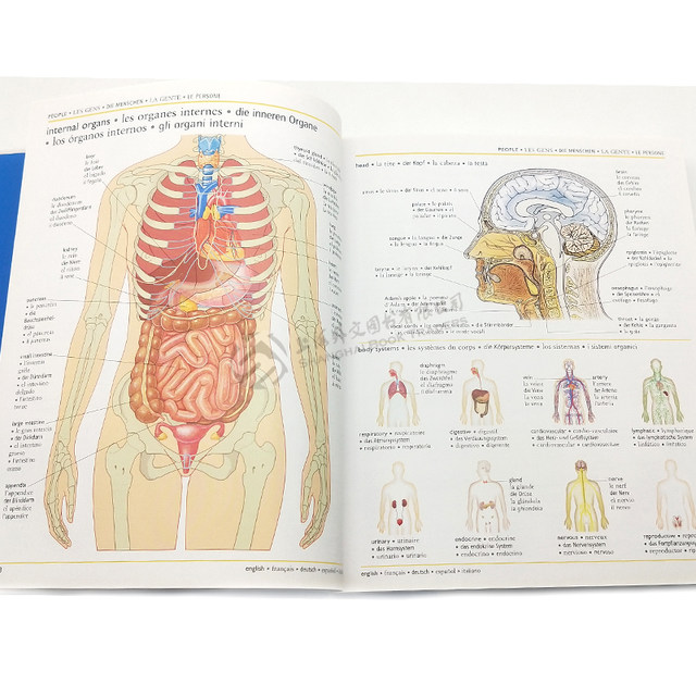 Hardcover English original DK encyclopedia series 5 Language Visual Dictionary 5 languages ...