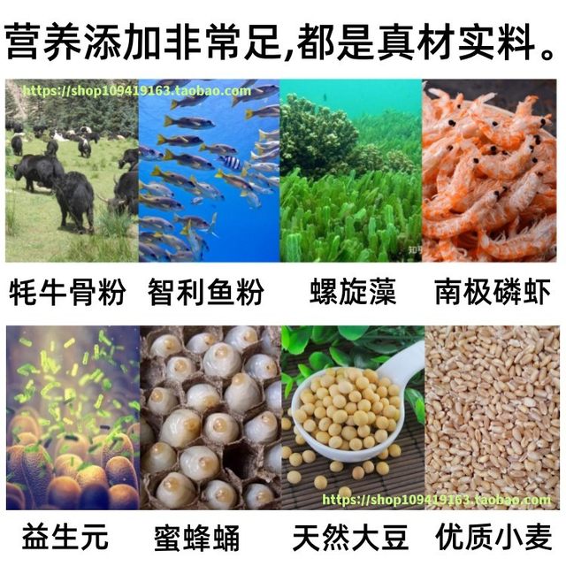 Nutritional turtle food raising turtle grain large general type ...
