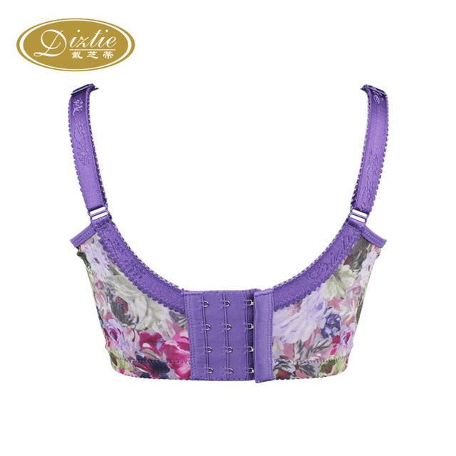 Dai Zhidi underwear clearance special counter genuine medium mold cup ...