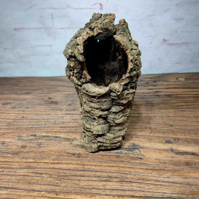 Cork tree barrels imported from Portugal, gecko lizards, spiders and ...