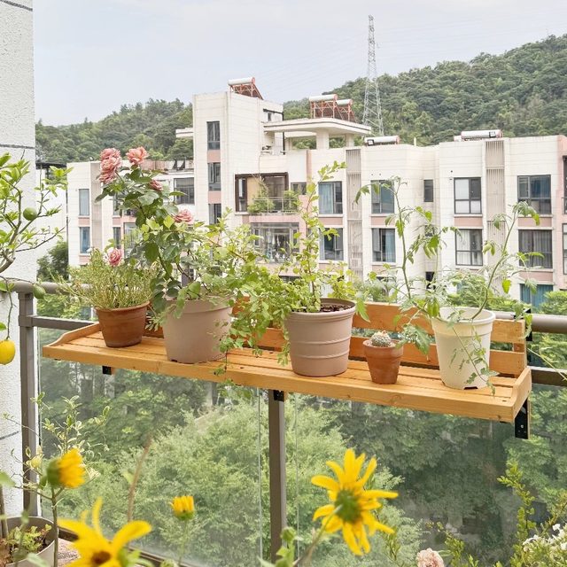 Balcony guardrail railing railings hanging flower pot plant plants ...