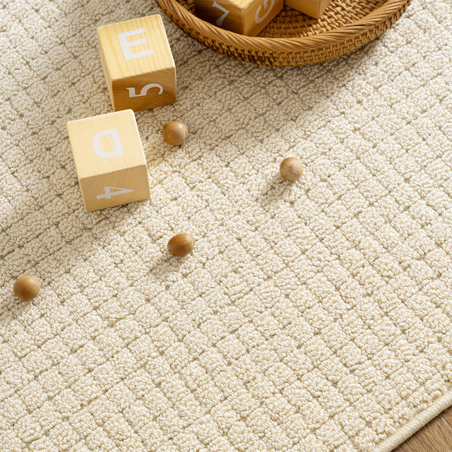 Eurograpes丨Japanese Wasabi style carpet Living room light luxury high ...