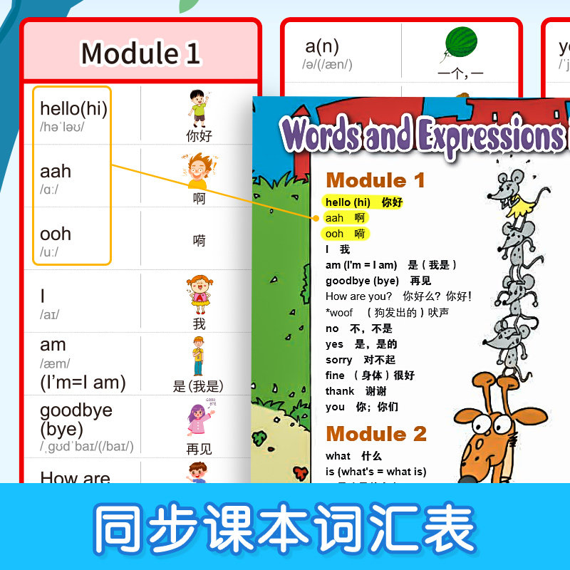 Foreign Research Version English Word Pronunciation Wall Chart ...