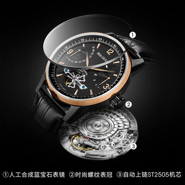 Seagull Watch Men's St25 Automatic Mechanical Watch Multifunctional ...