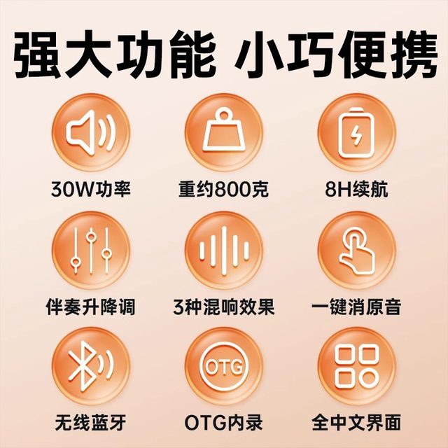 Shanghao S3 hair tube special musical instrument speaker official ...