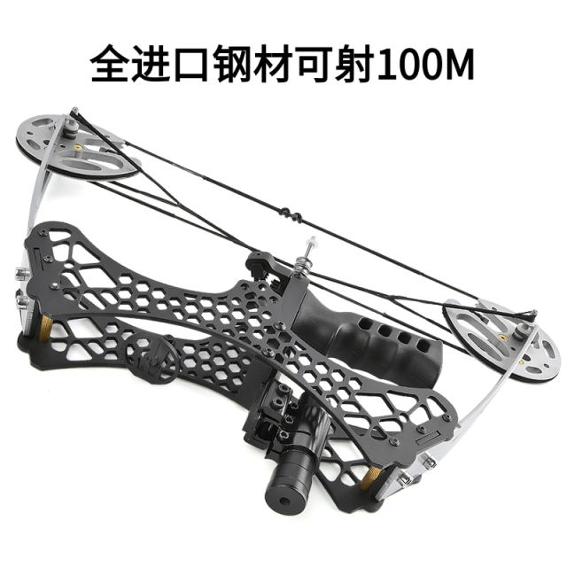 Mini Exquisite Compound Bow Small Triangular Pulley Bow Outdoor ...