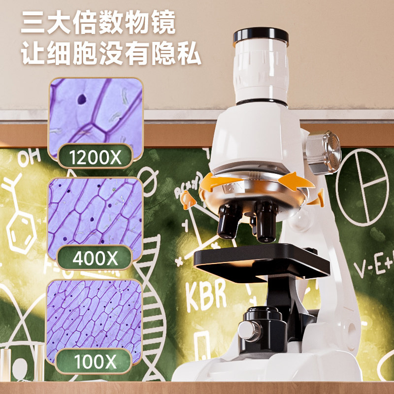 Children's Microscope for Bacteria Viewing - Science Experiment Set for ...