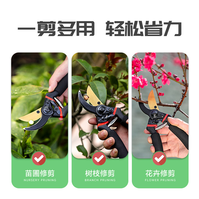 Cow enjoys pruning scissors garden flower art pruning branches scissors ...