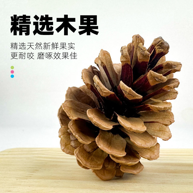 Parrot pine cone balls, grass balls, birds bite toys to relieve boredom ...