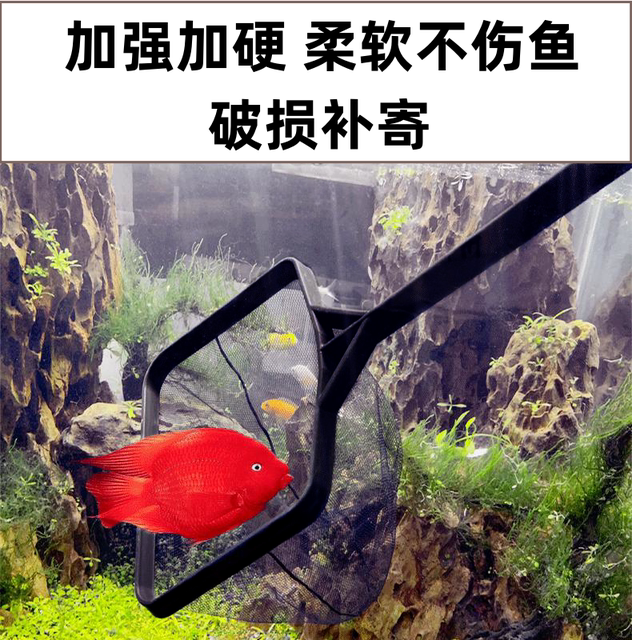 Fish Tank Fish Fish Fishing Aquarium Copy Network Laoyu.com Long Fang ...