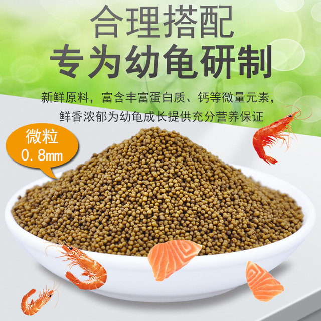 Young turtle grain Small turtle special grain seedlings opening grain ...