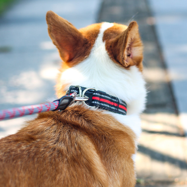 Dog collar Medium size dog neck collar large dog neck collar head cover ...