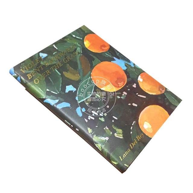 In stock, Sister Da Lei's poetry collection, Lana Del Rey's poetry ...