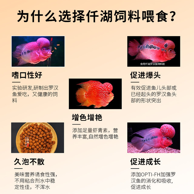 Qianhu flagship store Luo Han fish feed bumpy red -added red fish food ...