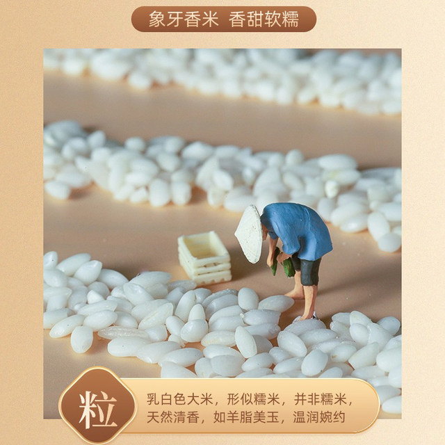 Shui Dai Xiang Ivory Mixis Shuangbanna Southern Japonica Rice 10 Jin ...