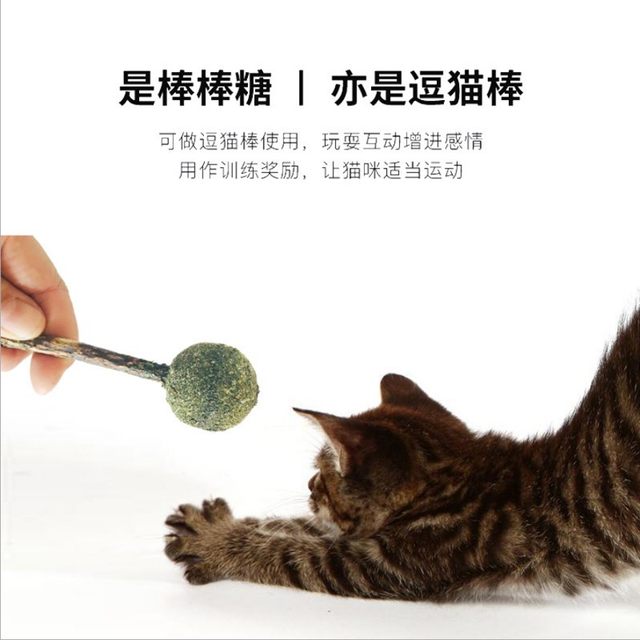 Cat Mint Lollipop Powder Edible Meow Meow Obedient Water-Scam Artifact ...