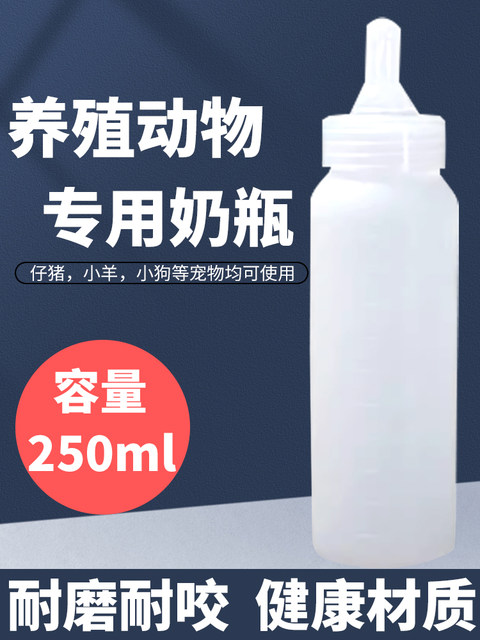 Sheep uses bottle beasts to feed pork bottle, piglet puppy, lamb pet ...