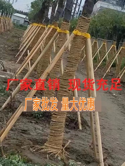 Trees support pole seedlings and wood garden planting trees and wooden ...