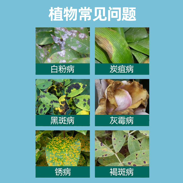Huabingkang plant antibacterial active agent spray for succulent ...