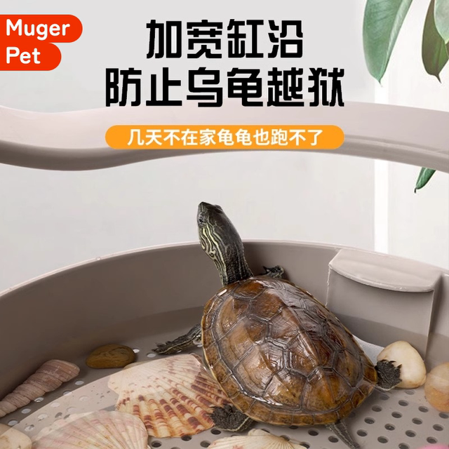 Special tank for raising turtle household feeding tank turtle crawling ...