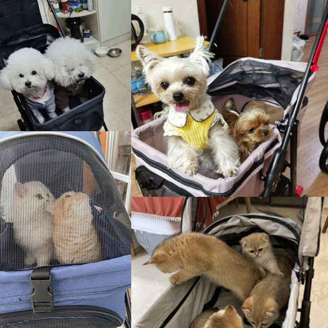 jardkids pet cart walking dogs and cats pulling cart out small dog ...