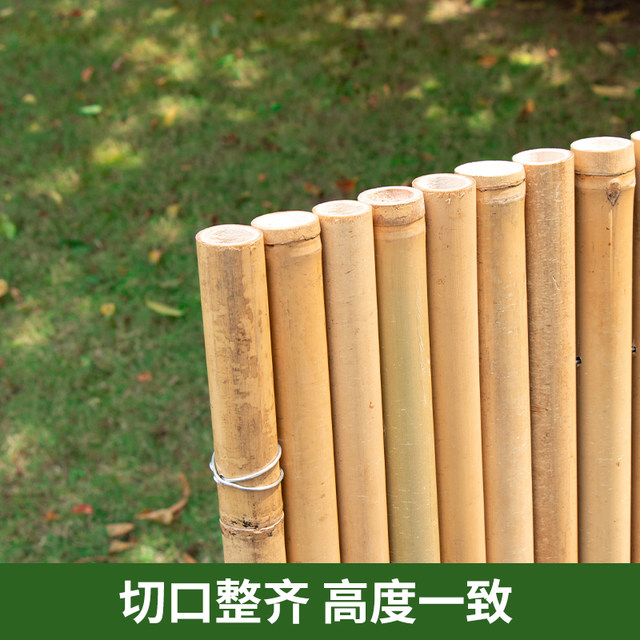 Bamboo fence courtyard small courtyard bamboo pole bamboo fence fence ...